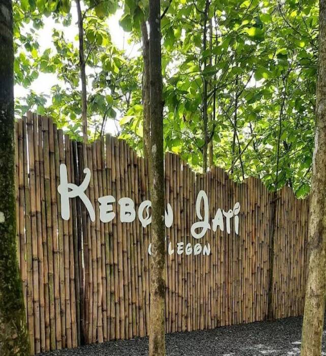 Adem Bener! Sensasi Wisata di Tengah Pohon Jati Cilegon Sambil Healing ...