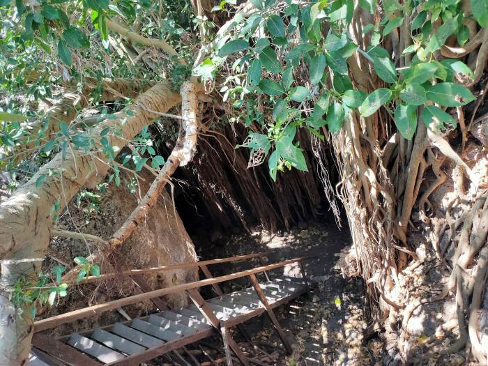 Menikmati Indahnya Gua Mabala di NTT, Rasakan Sensasi Bak Diterpa ...