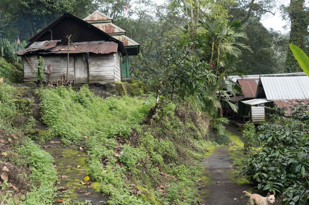 Jalur Putuk Lesung, Cara Terbaik Mendaki Gunung Arjuno Bagi Pemula ...