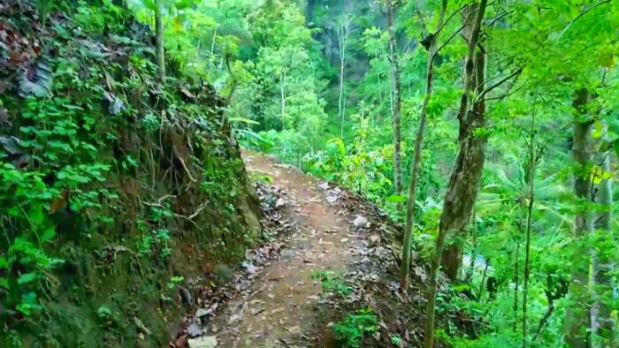 Keindahan dan Mitos Curug Penganten, Punya Kekuatan Magis Buat Cinta ...