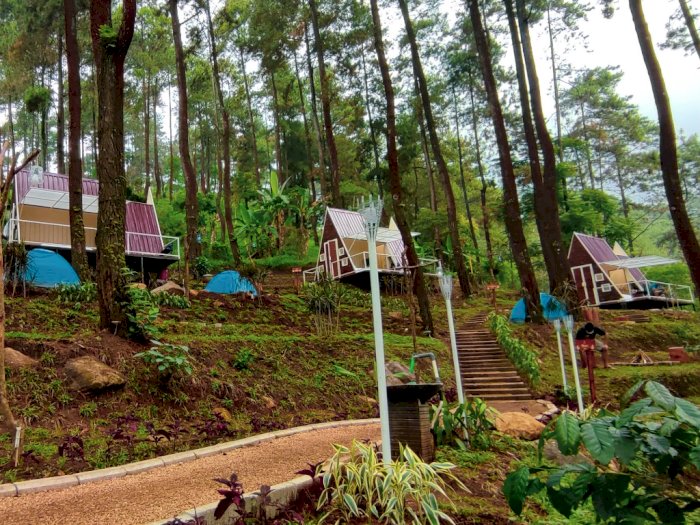 Locca Lodge, Camping ala Sultan di Mojokerto Bertabur Fasilitas Penuh ...