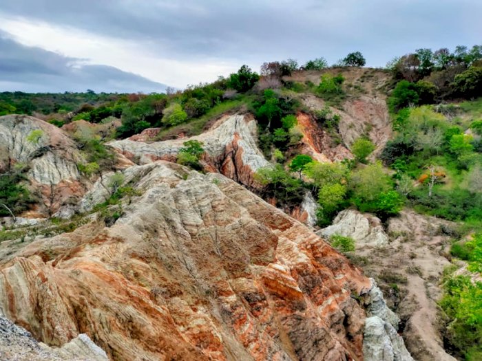 Intip Pesona Keindahan Alam Bukit Warna-warni di Pulau Rote NTT - Kwikku