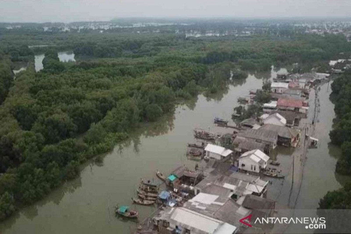 Jeritan Warga Muaragembong Bekasi Dikepung Banjir Rob - Kwikku