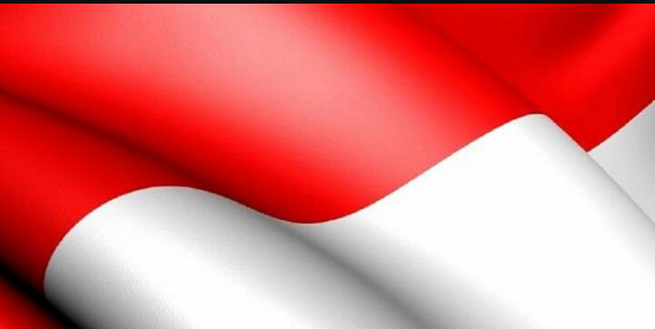 "Indonesia Raya MERDEKA...ME... (Peter Netti) - Kwikku